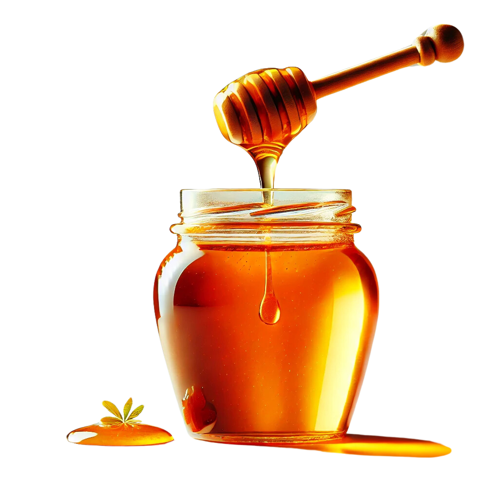 Home [naghaexportsandimports.com]